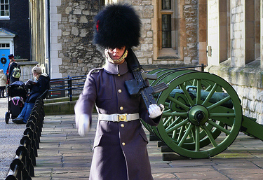 Guard Traces - BitWeenie | BitWeenie